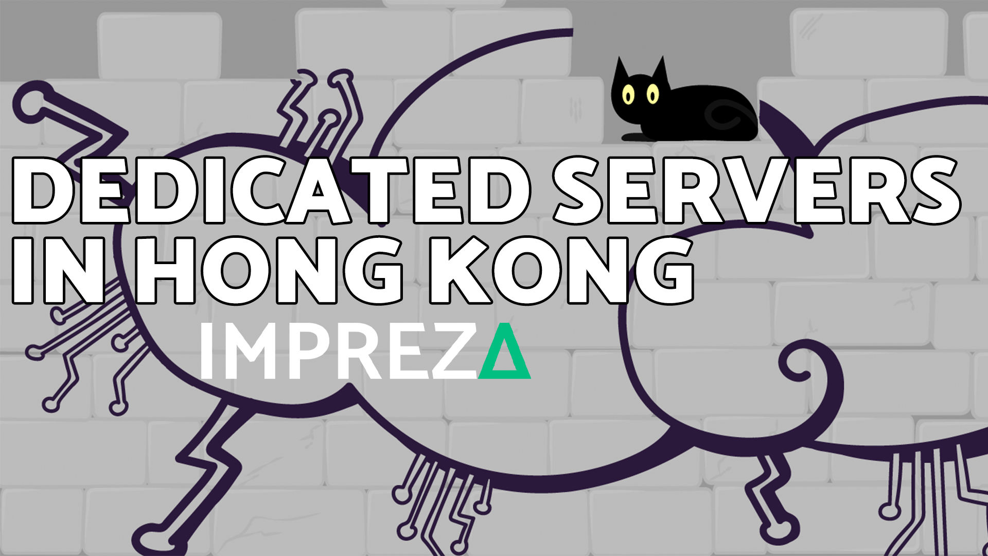 Dedicated Servers in Hong Kong with top-tier hardware! | Impreza Host